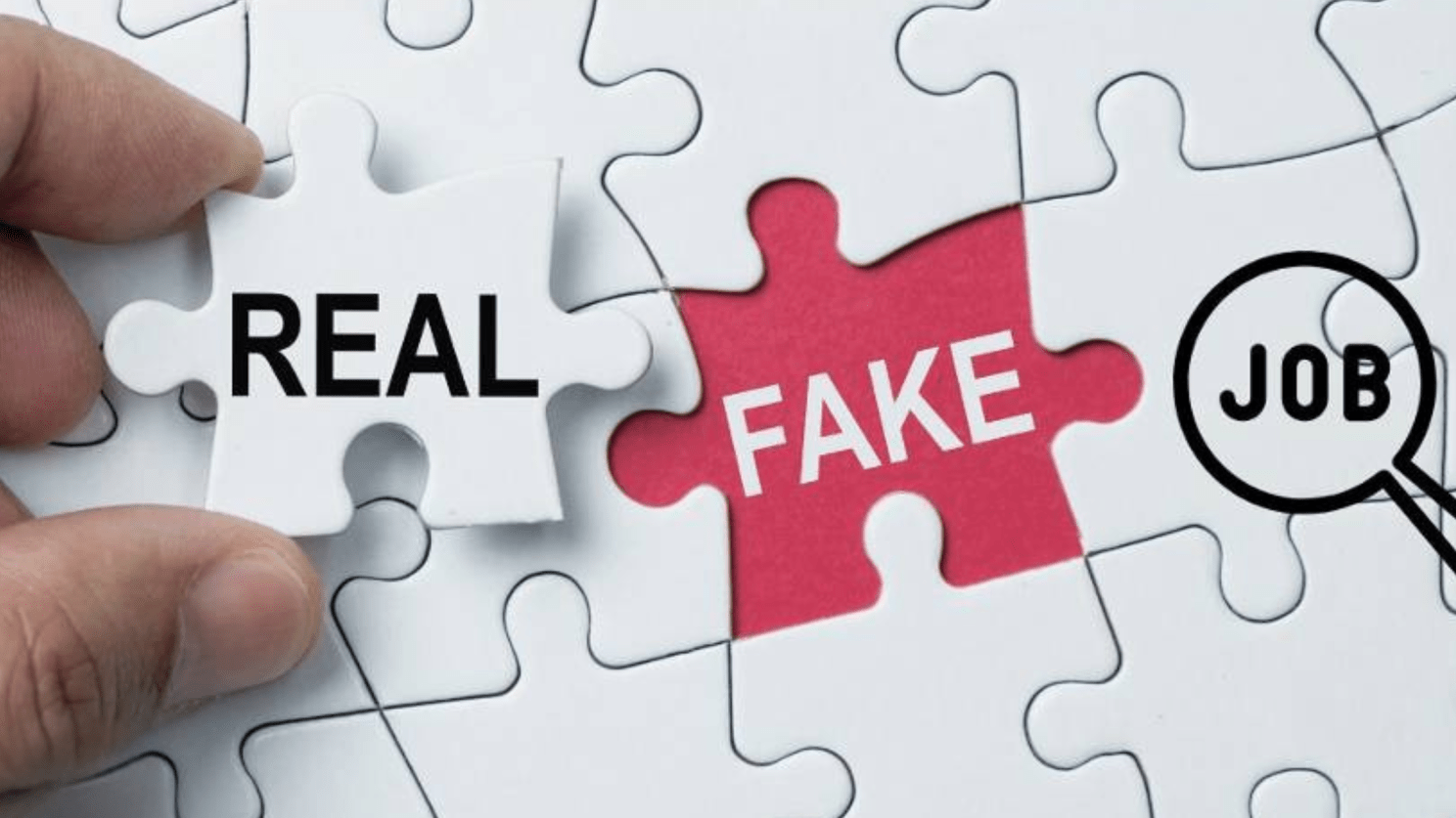 How to Spot and Avoid Job Scams in 2025 | Expert Tips by The Job Helpers